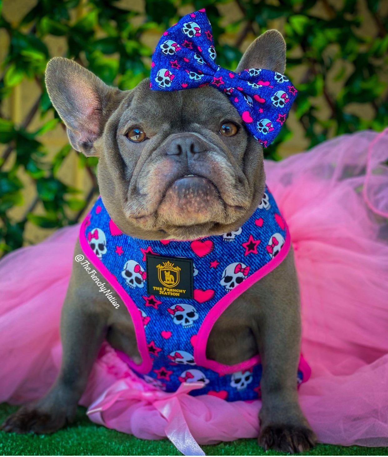 Sizing – The Frenchy Nation